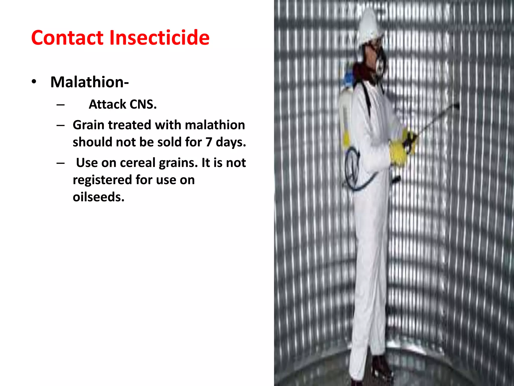 Management Of Stored Grain Insect Pest Pptx Beekeeping Hobbies
