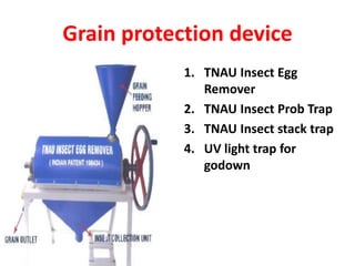 Management of stored grain insect pest | PPTX