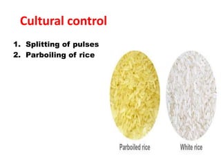 Management of stored grain insect pest | PPTX
