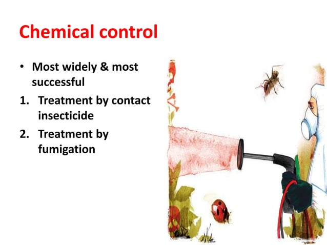 Management of stored grain insect pest | PPTX | Beekeeping | Hobbies ...