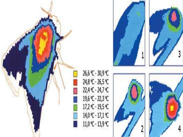 Management Of Stored Grain Insect Pest Ppt