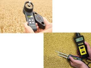 Management of stored grain insect pest | PPTX