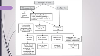 Management of TB.pptx