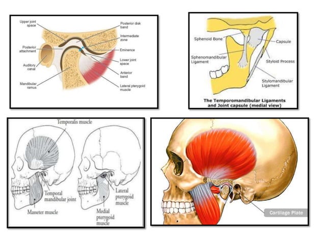 Management of temporomandibular disorders | PPTX