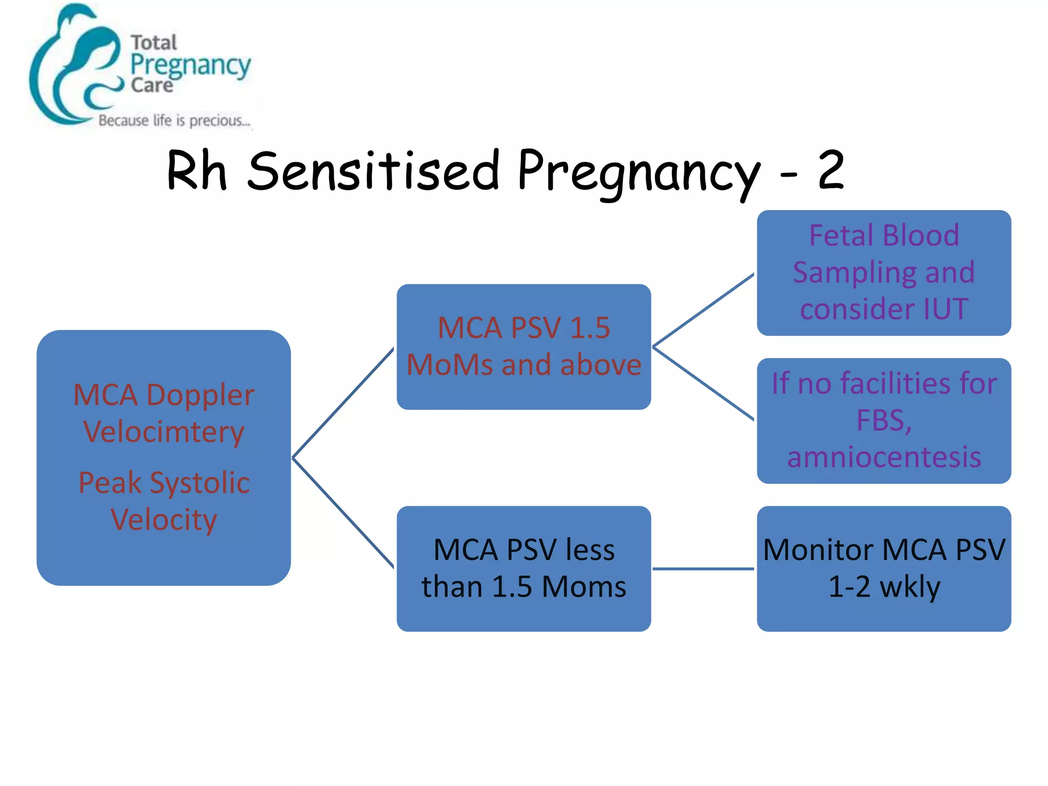 Management of the Rhesus Negative Mother | PPTX