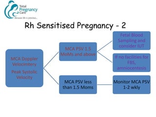 Management of the Rhesus Negative Mother | PPTX