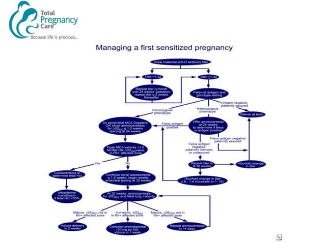 Management of the Rhesus Negative Mother | PPTX | Pregnancy ...