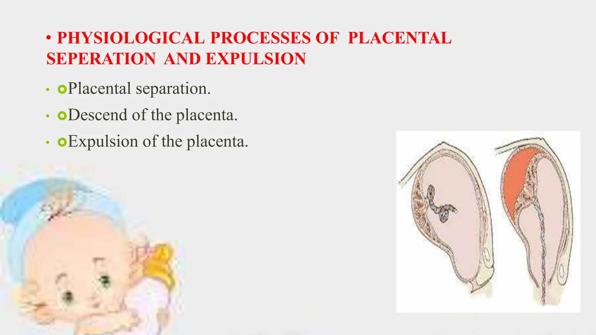 Management of third stage of labour | PPTX