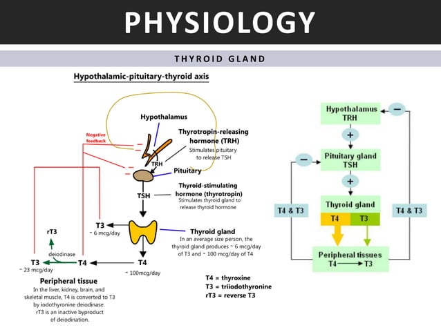 Management of Thyroid Diseases & Emergencies | PPTX