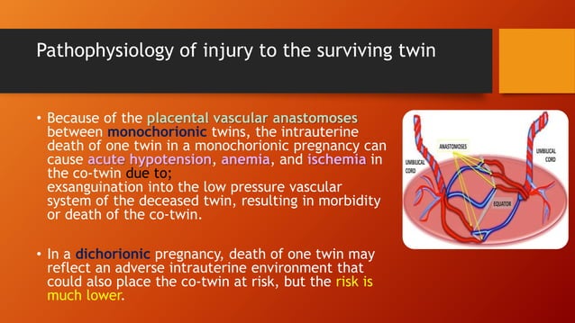 Management of twin pregnancy with single fetal demise; Obstetrics ...