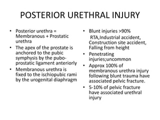 Management of urethral injury | PPTX