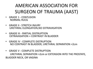 Management of urethral injury | PPTX