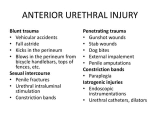Management of urethral injury | PPTX