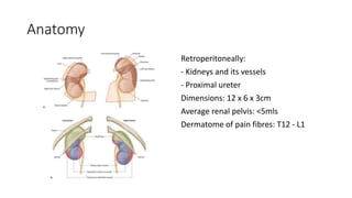 Management of urolithiasis | PPTX