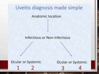 Management of Uveitis | PPT