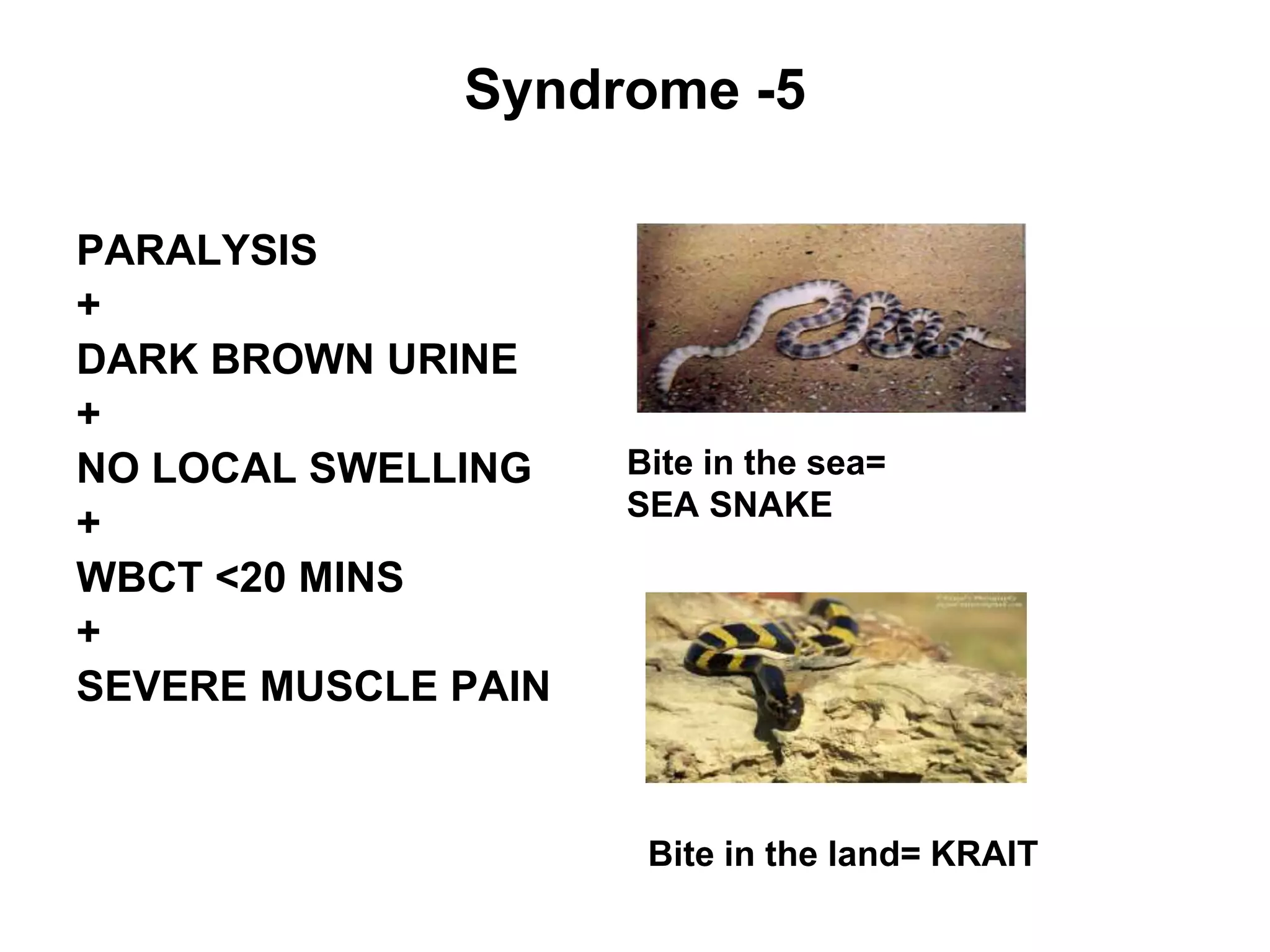 Management of venomous snake bite | PPT