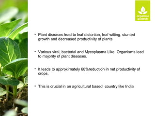 Viral diseases management in plants. | PPT