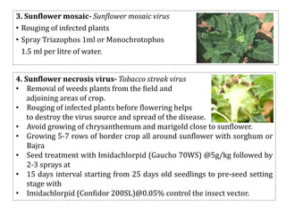 Doctoral seminar: Management of viral diseases in pulses and oilseeds ...