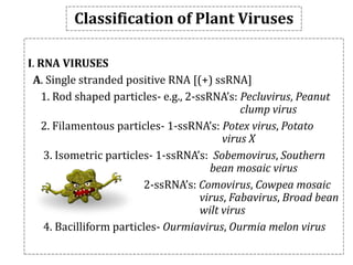 Doctoral seminar: Management of viral diseases in pulses and oilseeds ...
