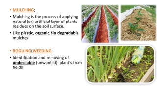 Control and Management of Viruses | PPTX