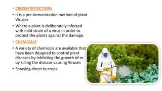 Control and Management of Viruses | PPTX