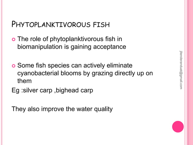 Management of wetlands by biomanipulation studies | PPT