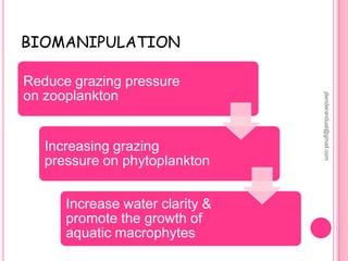 Management of wetlands by biomanipulation studies | PPTX