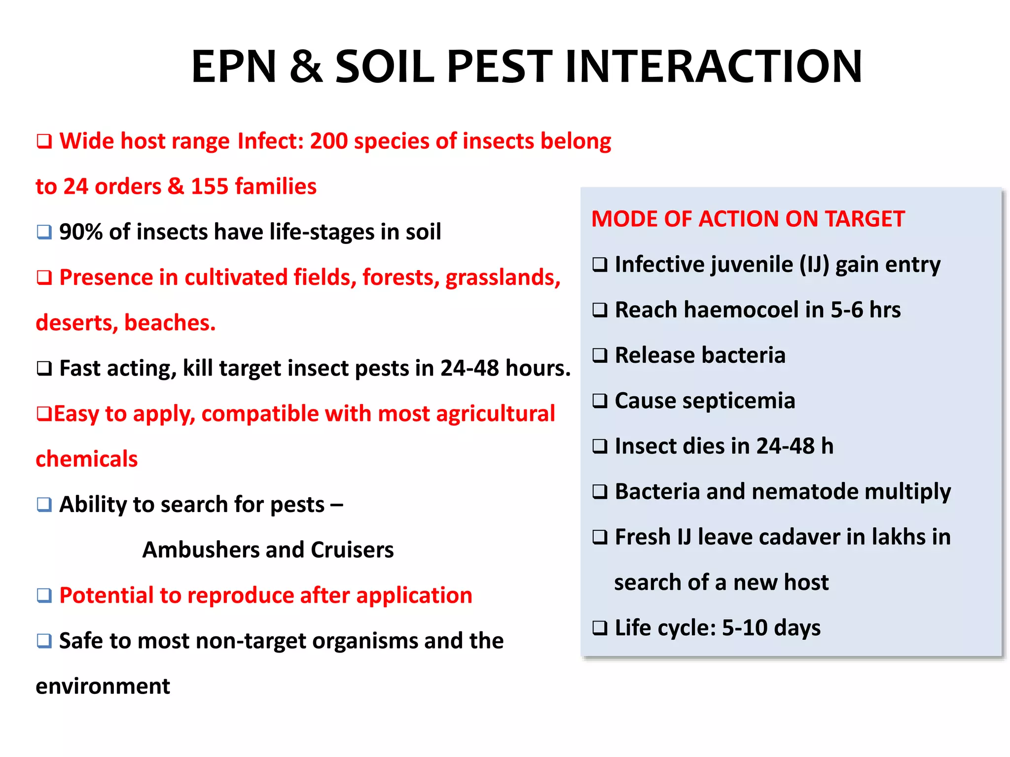 MANAGEMENT OF WHITE GRUB ON SUGARCANE THROUGH EPN AND EPF WEBINAR 2ND ...
