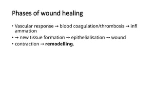 Wounds and Principles of Wound Management | PPTX