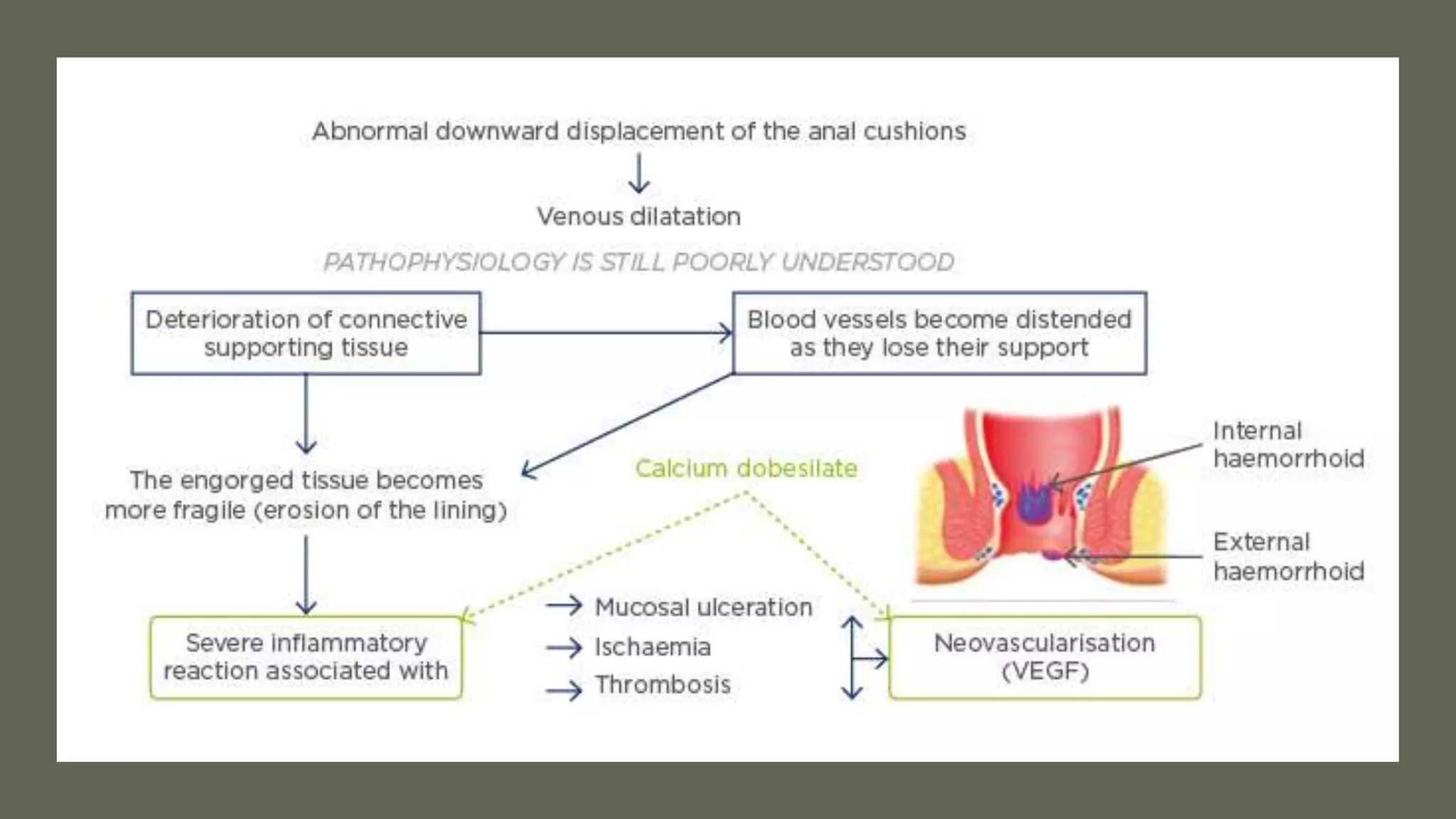 ANO RECTAL DISEASES- MANAGEMENT OPTIONS | PPTX | Physical Therapy ...