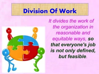 Management plans | PPTX