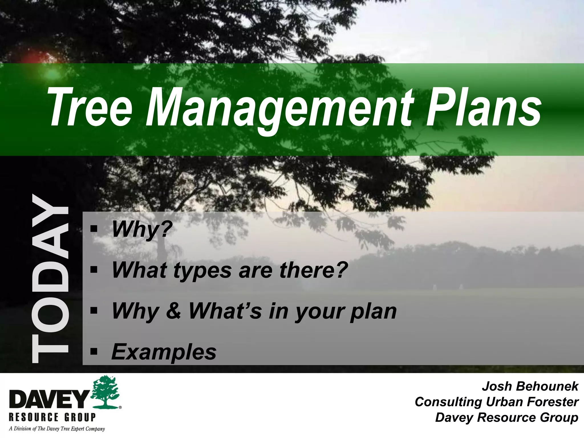 Urban Forest Management Plan | PDF