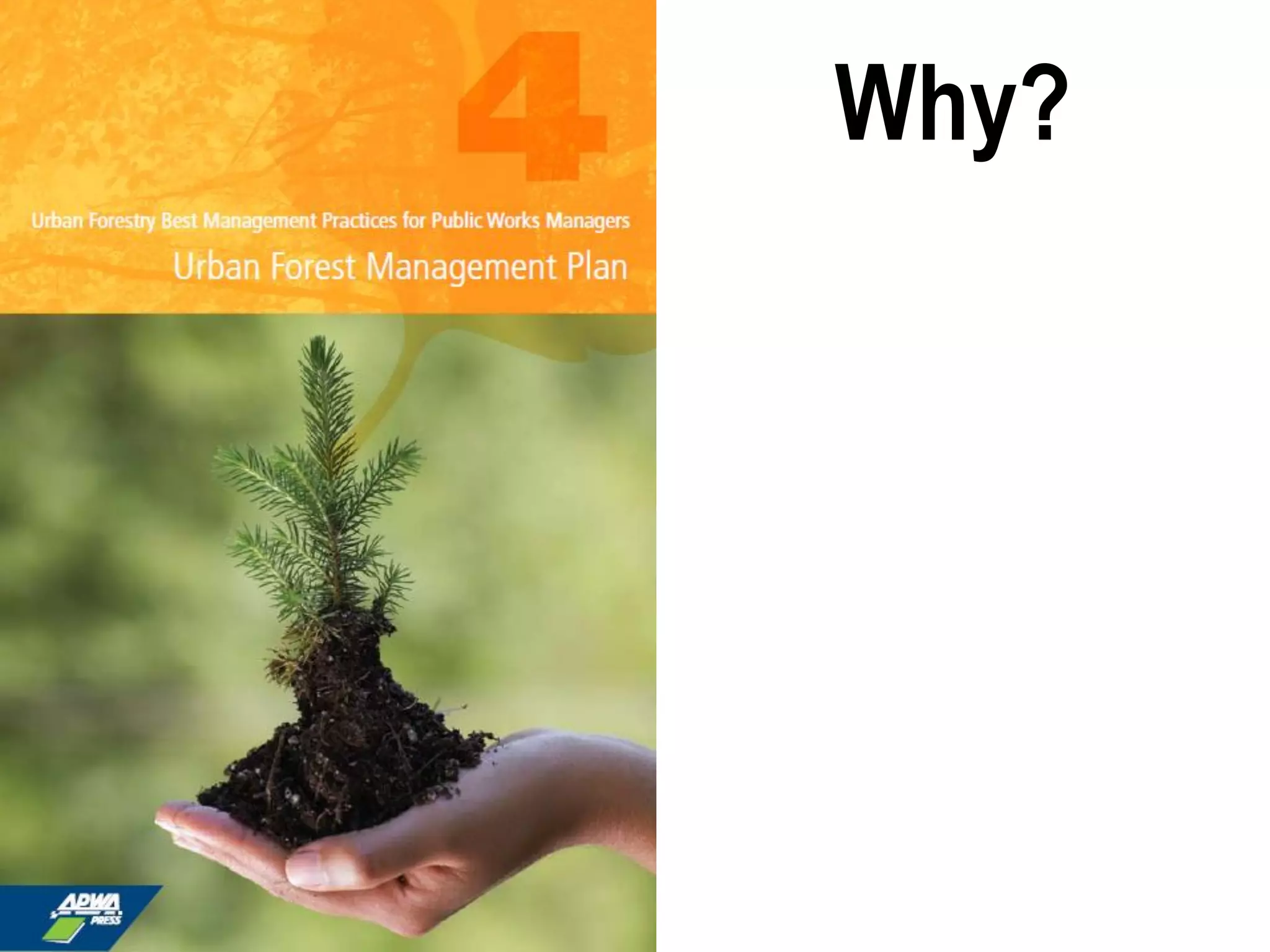 Urban Forest Management Plan | PDF