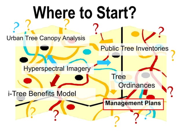 Urban Forest Management Plan | PDF | Landscaping | Home & Garden