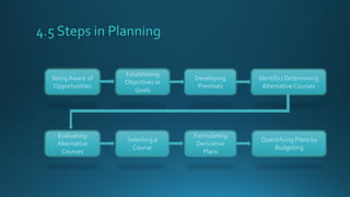Essentials of Planning | PDF