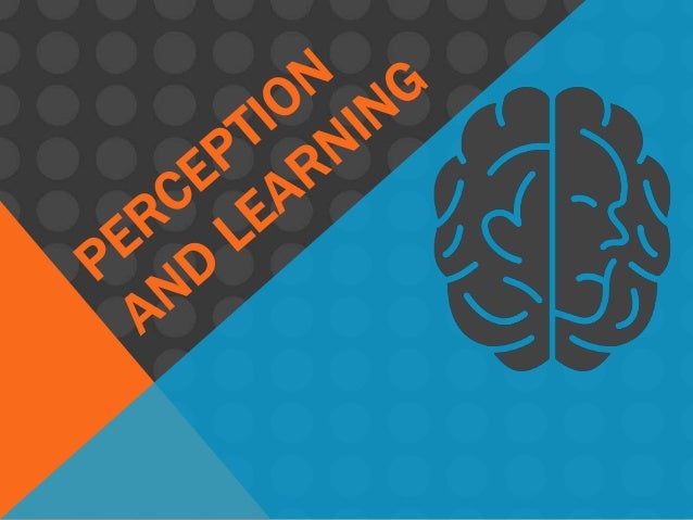 Perception and learning