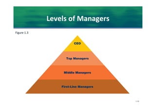 Management Process.pdf