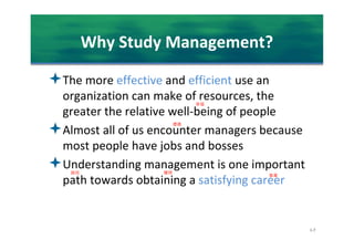 Management Process.pdf