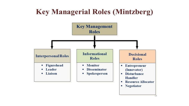 Management Process- Management Theory and Practices.pptx