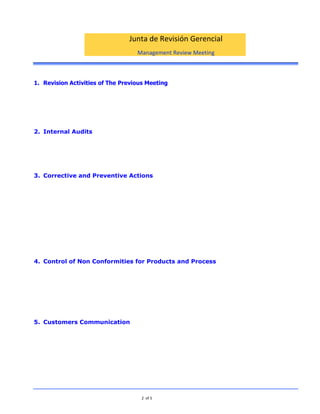 Management Review Format | DOCX