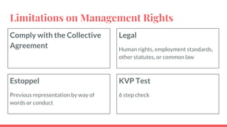 Management rights | PDF