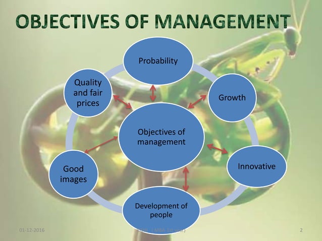 Ppm-Management | PPT