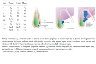 Management strategy in cancer gall bladder | PPT