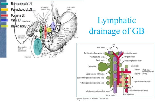 Management strategy in cancer gall bladder | PPT