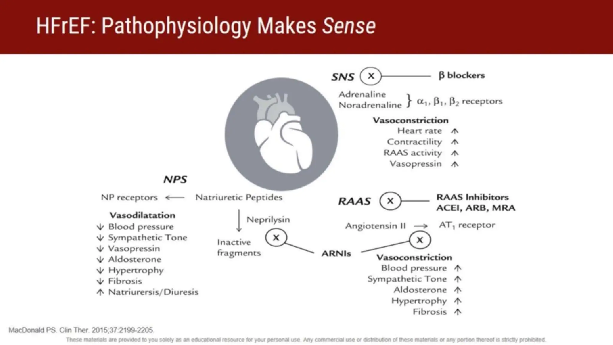 MANAGEMENT STRATEGY OF DIFFERENT HF PHENOTYPES.pptx