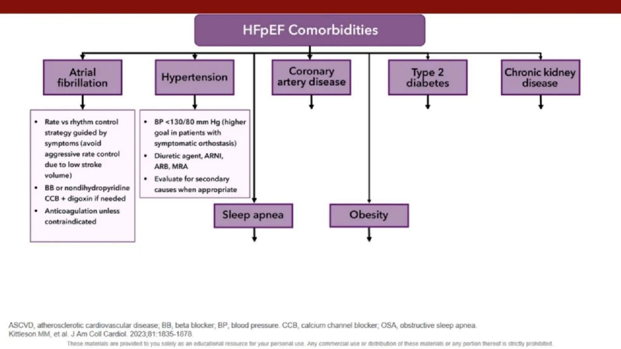 MANAGEMENT STRATEGY OF DIFFERENT HF PHENOTYPES.pptx