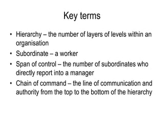 Management Structure and Organisation.ppt