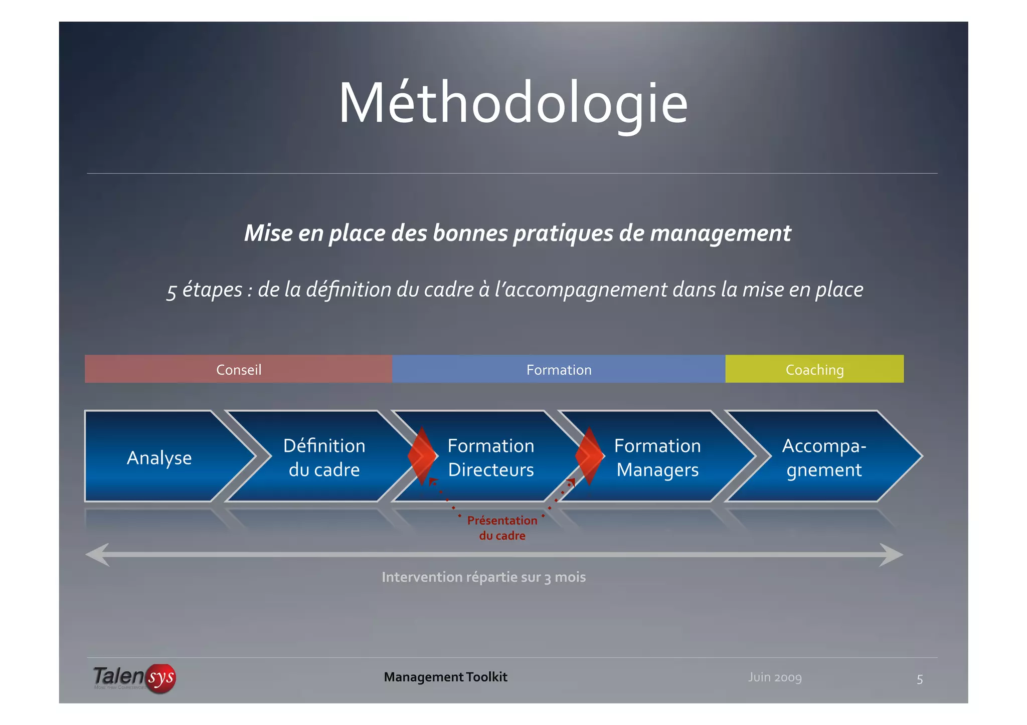 Management Toolkit | PDF