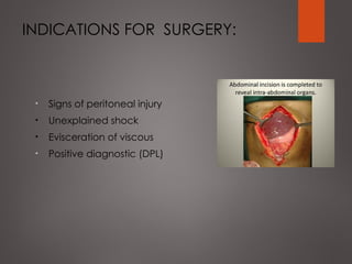 management trauma abdominal injury of abdominal trauma | PPT