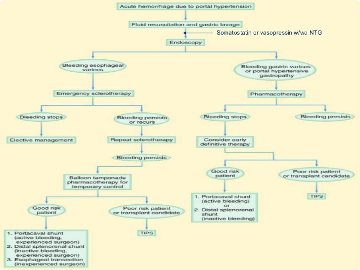 Surgery 6th year, Tutorial (Dr. AbdulWahid)